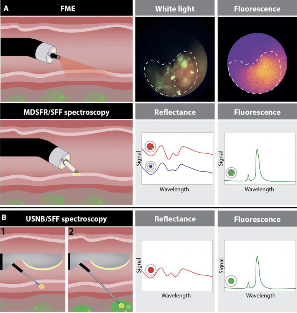 New publication by Iris Schmidt in Clinical Cancer Research | omig